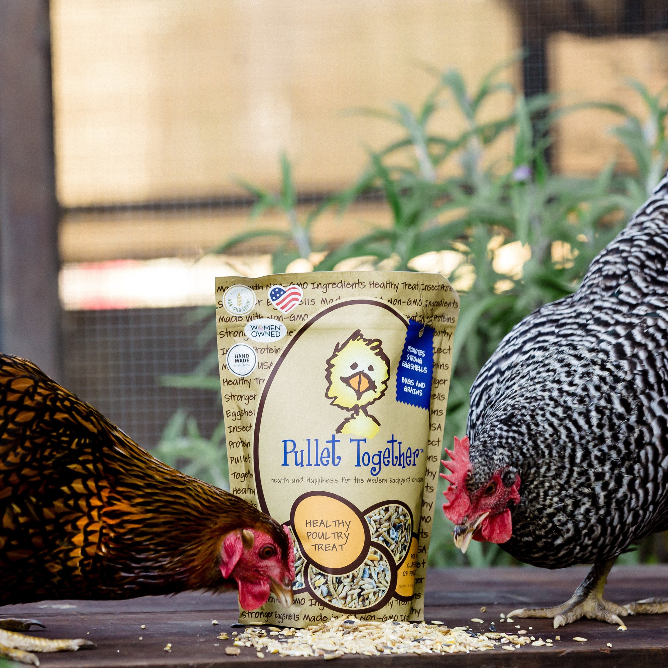 Treats for Chickens I Subscribe + Saves 20% OFF I USA Woman-owned ...